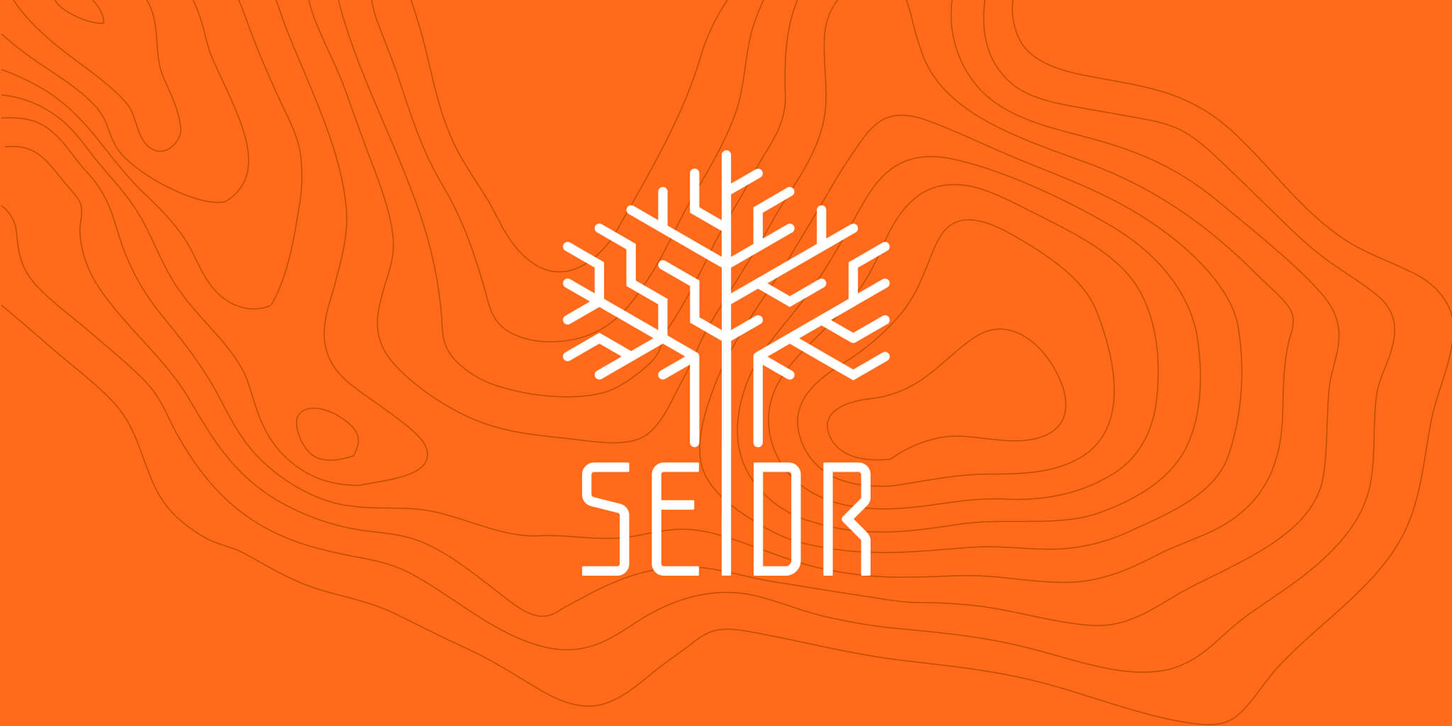 Investing in Seidr | Andreessen Horowitz